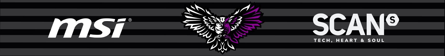 Noctem - SpartanWare